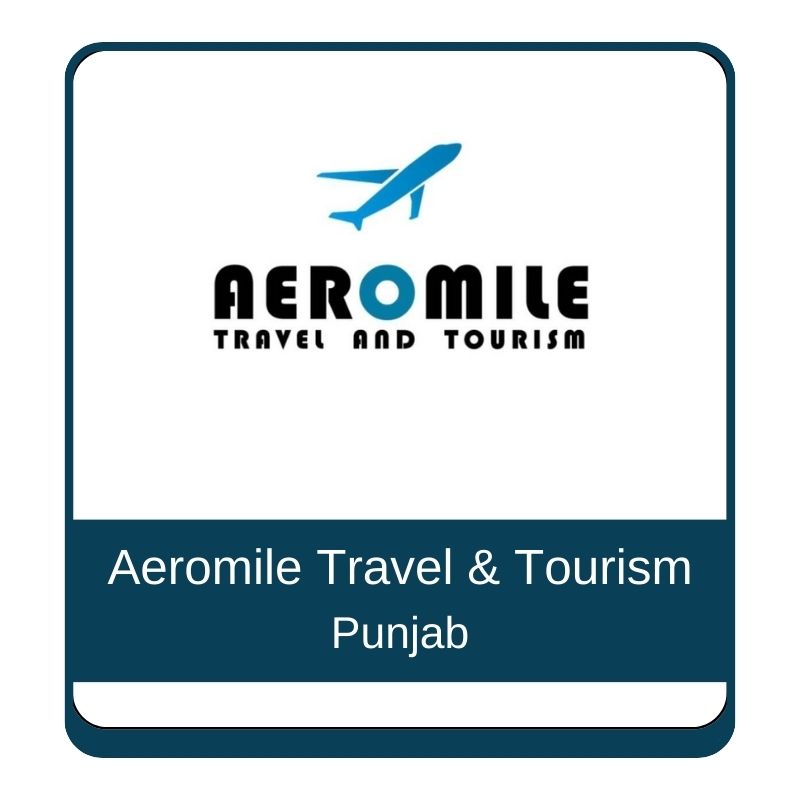 Amadeus Professional GDS Course - Air Ticketing Course in Delhi ...